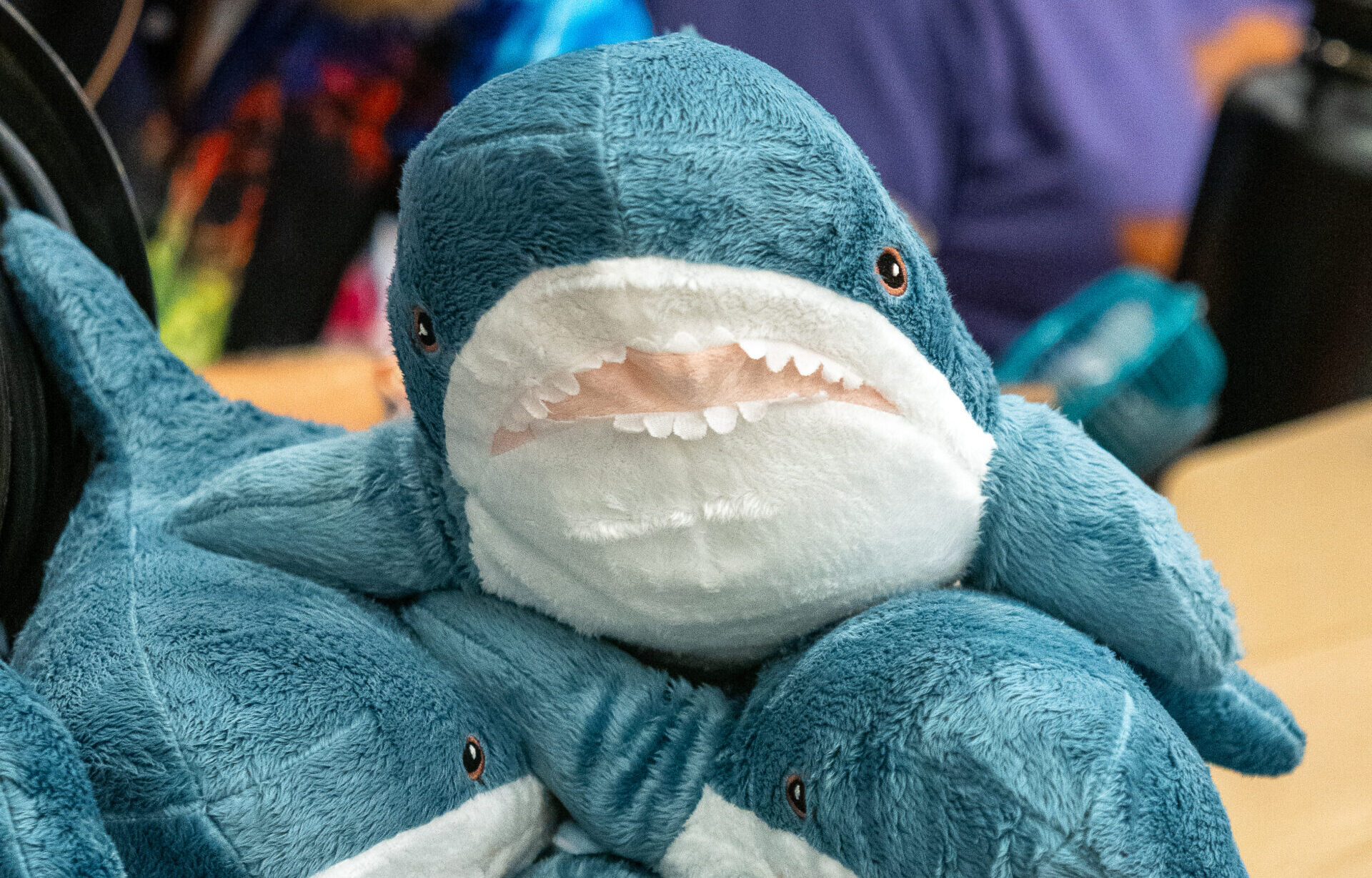 2024 Round Rock Robot Rodeo - Howdy Bots